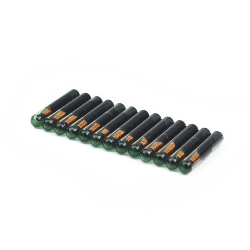 Blank Virgin Transponder Chip ID4C Glass Chip TP02 Transponder Chip ...